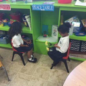 SEL Workshops - Social Emotional Learning