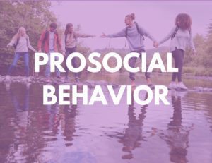 Social Emotional Learning | Box Out Bullying SEL Presentations